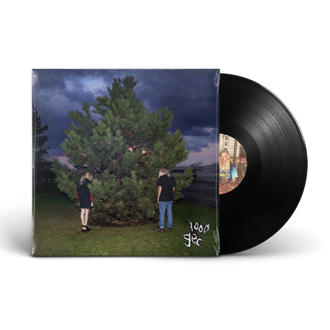 1000 gecs vinyl – 100 gecs